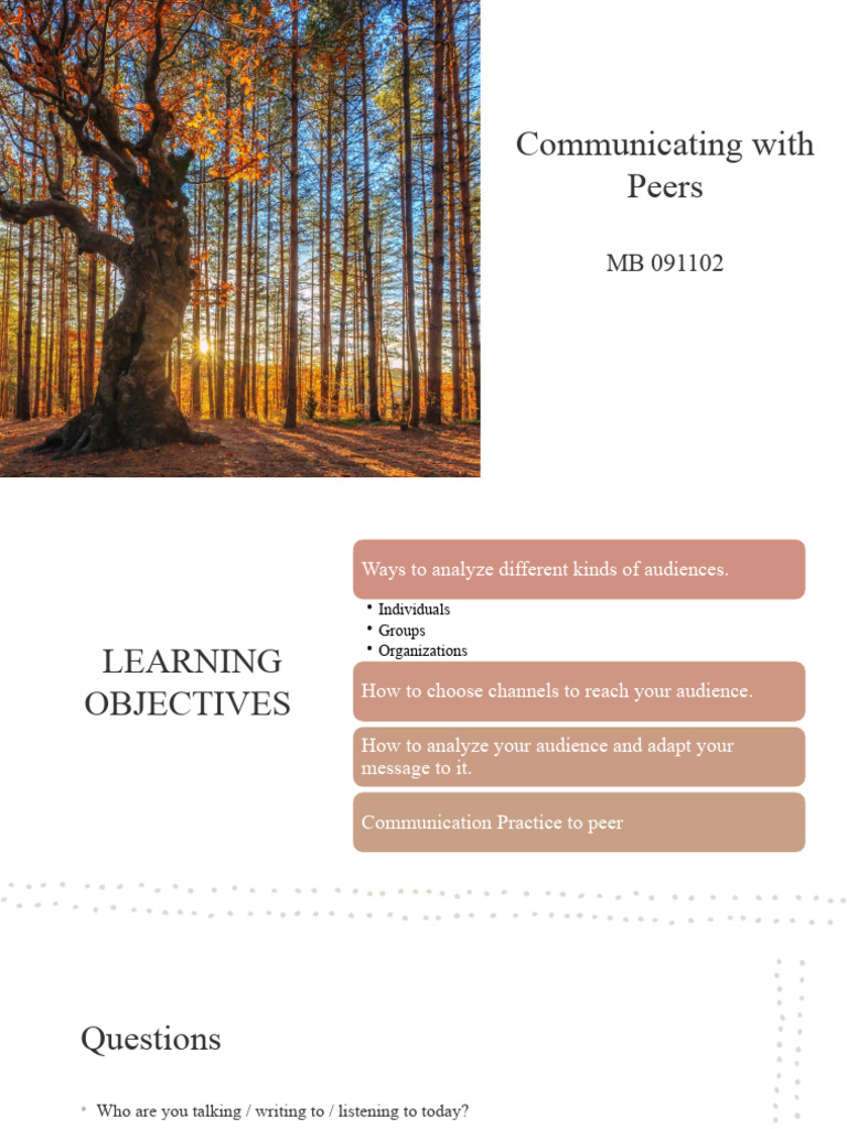 Effective Audience Communication Strategies | PDF | Communication ...