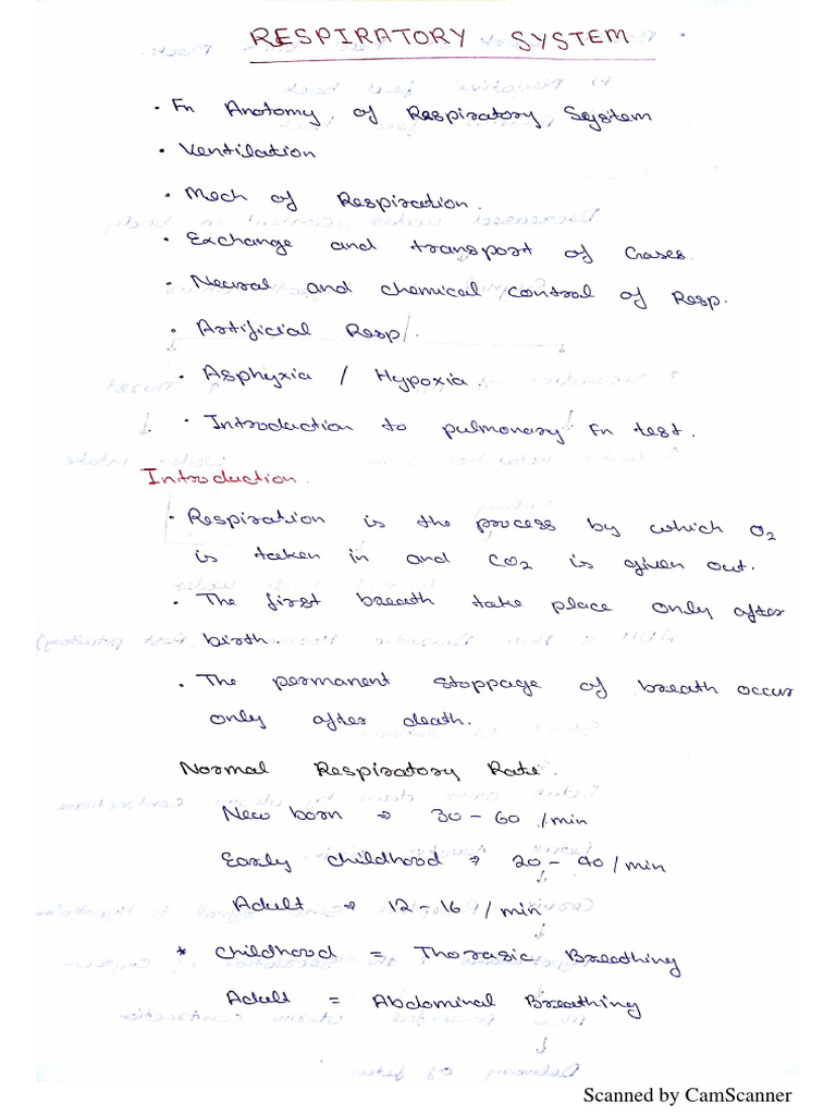 RESPIRATORY_SYSTEM-[KS_Modern]-Handwritten_notes | PDF