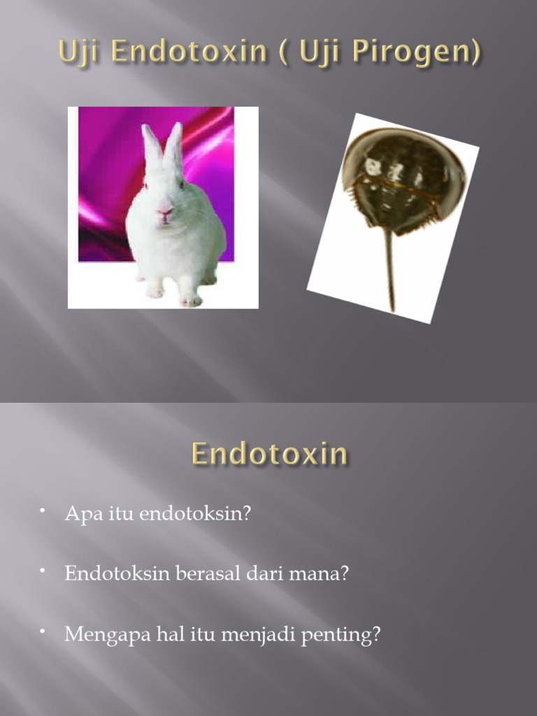 Uji Endotoksin: Metode dan Pentingnya | PDF | Sains & Matematika ...