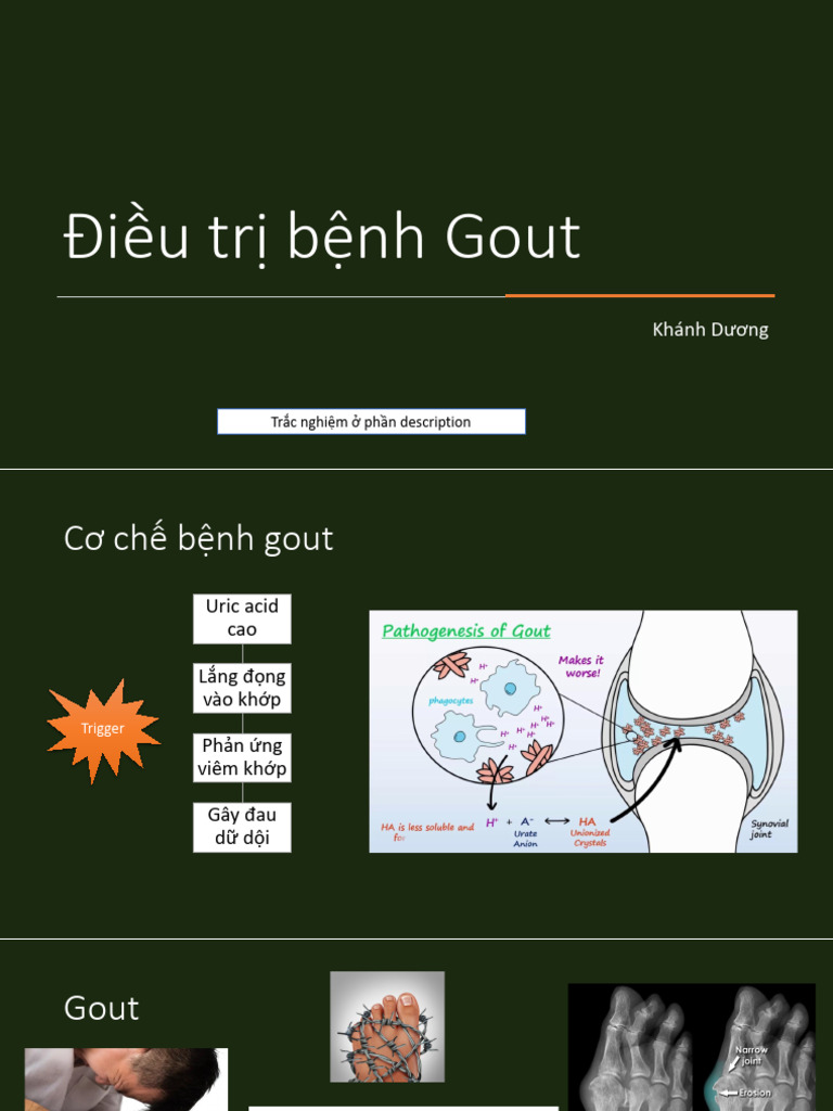 Điều Trị Bệnh Gout | PDF