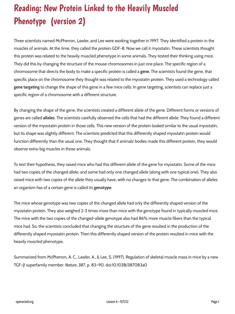 Myostatin Gene's Role in Muscle Growth | PDF | Gene | Genetics