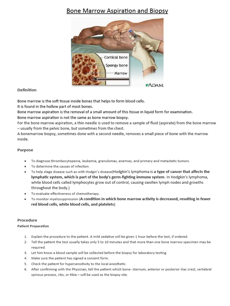 Bone Marrow Aspiration and Biopy Pathology | Download Free PDF | Bone ...