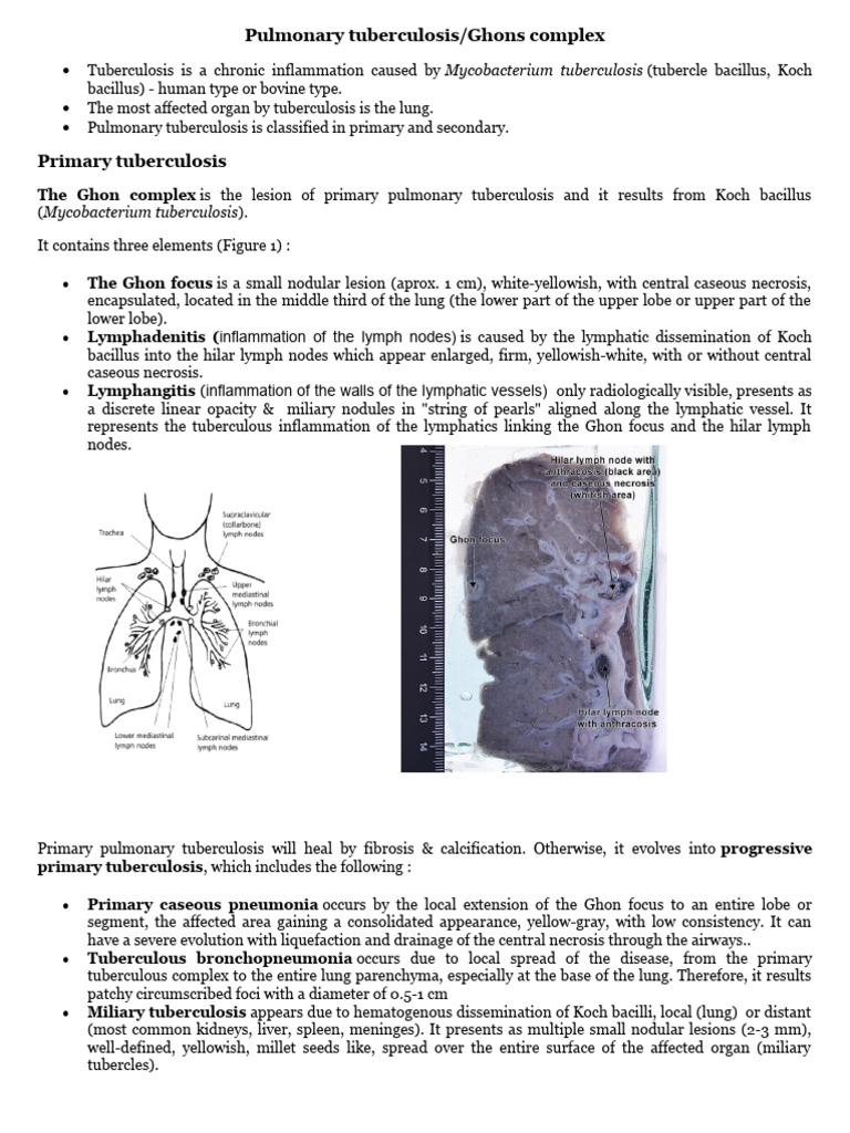 Pathology of Pulmonary TB | PDF | Tuberculosis | Cytopathology