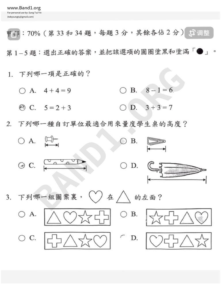 P1 Maths Exam Paper 1 | PDF