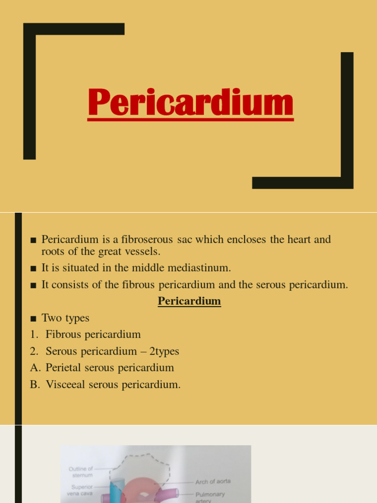 Overview of the Pericardium Structure | PDF