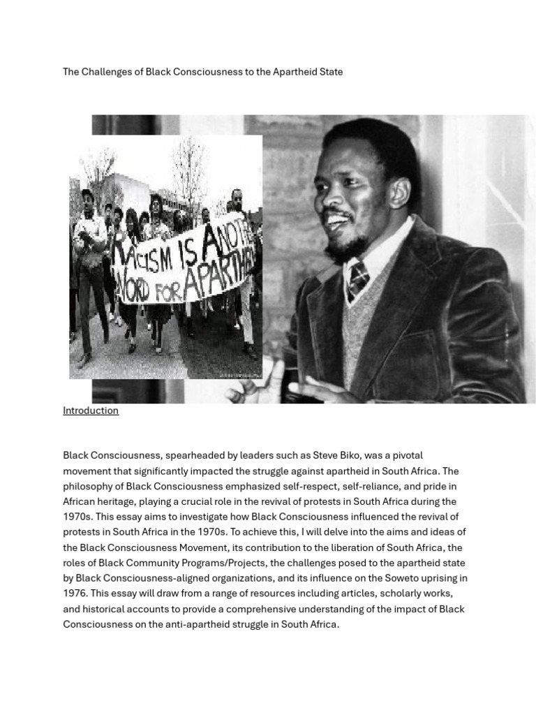 History Assignment | PDF | Apartheid | Identity Politics