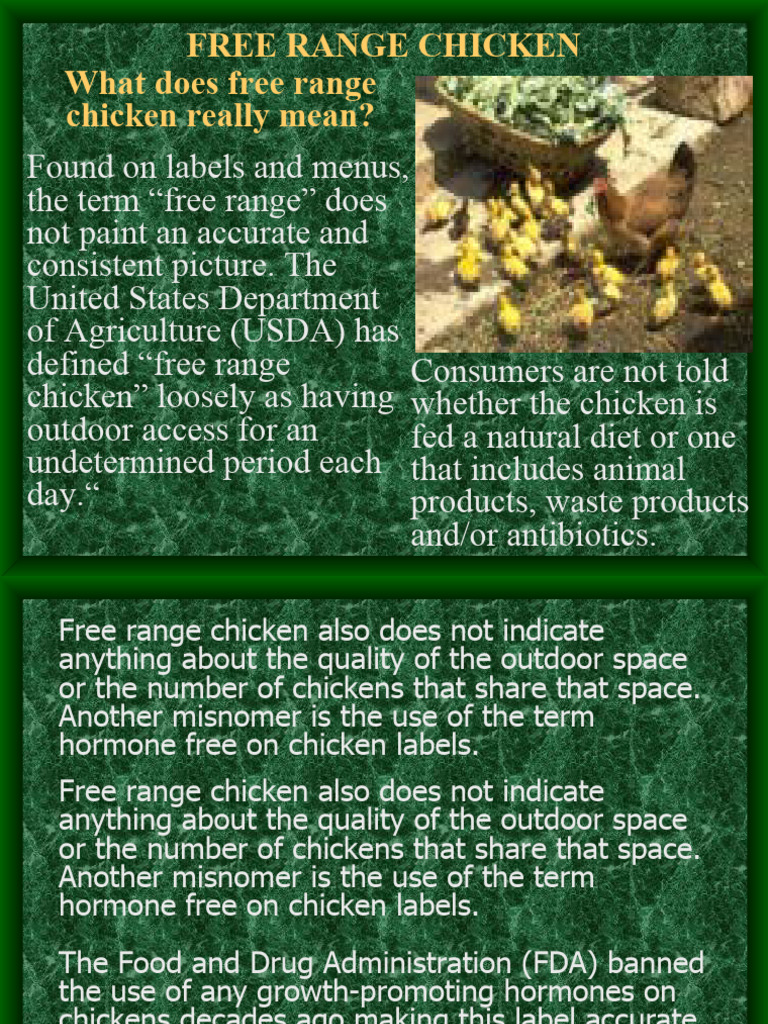Lecture 7-FREE RANGE CHICKEN | PDF | Poultry Farming | Poultry