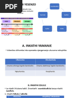 Izivumelwano ZesiZulu: Uhlaka Nezibonelo | PDF | Grammatical Number ...