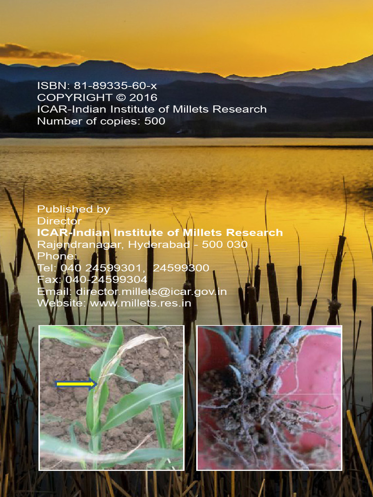 Pests of Millets | PDF | Pest (Organism) | Pupa