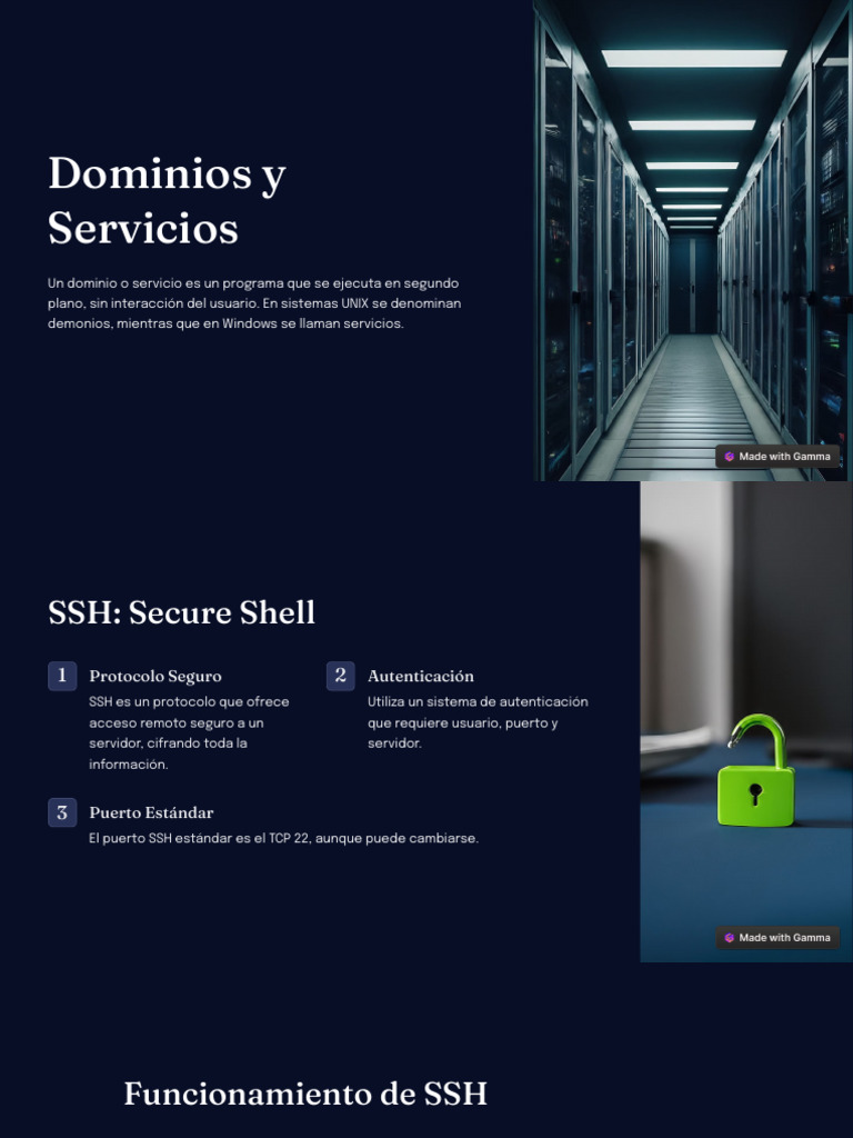 Dominios y Servicios | PDF | Cubierta segura | Protocolo de Control de ...