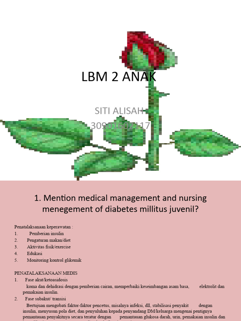 LBM 2 ANAK DM (Siti Alisah) | PDF