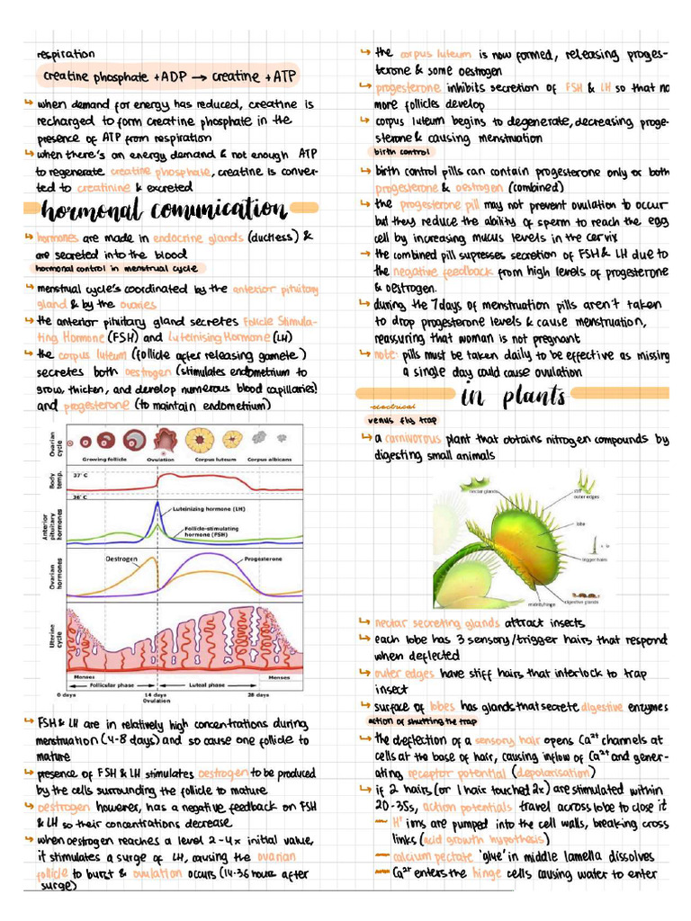 Interactive Notes Coordination 5 | PDF