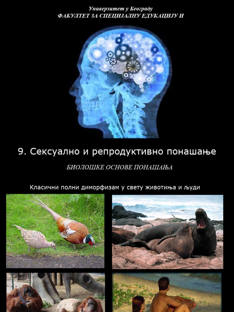 Seksualno I Reproduktivno Ponasanje | PDF