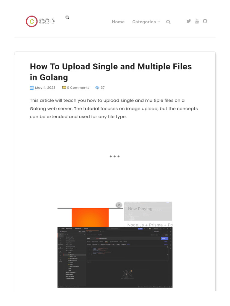 How To Upload Single And Multiple Files In Golang 2024 Pdf Computer
