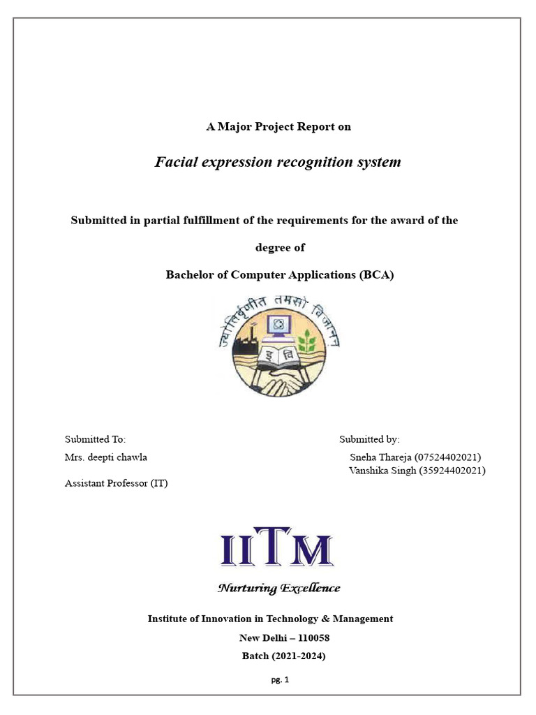 major report | PDF | Deep Learning | Human–Computer Interaction