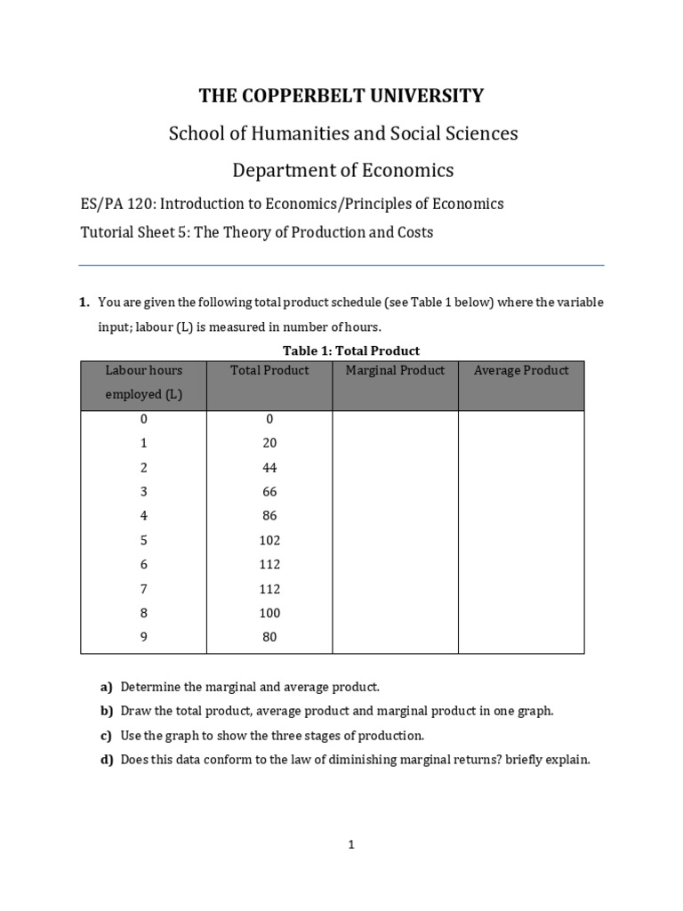 Economics Production Theory Tutorial | PDF | Economics | Business Economics