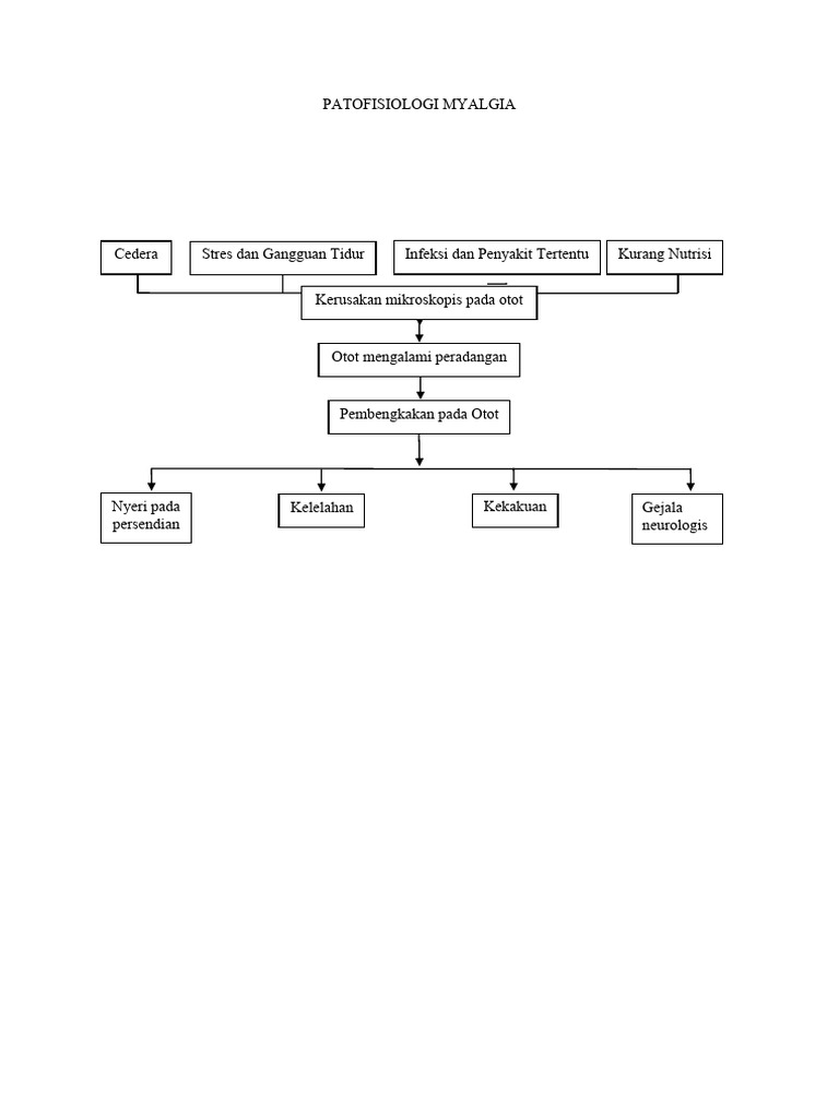 Pathway Patofisiologi Myalgia | PDF
