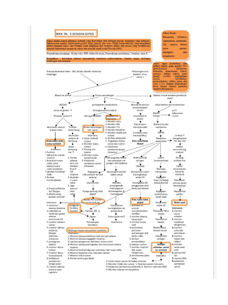 Woc Sepsis | PDF