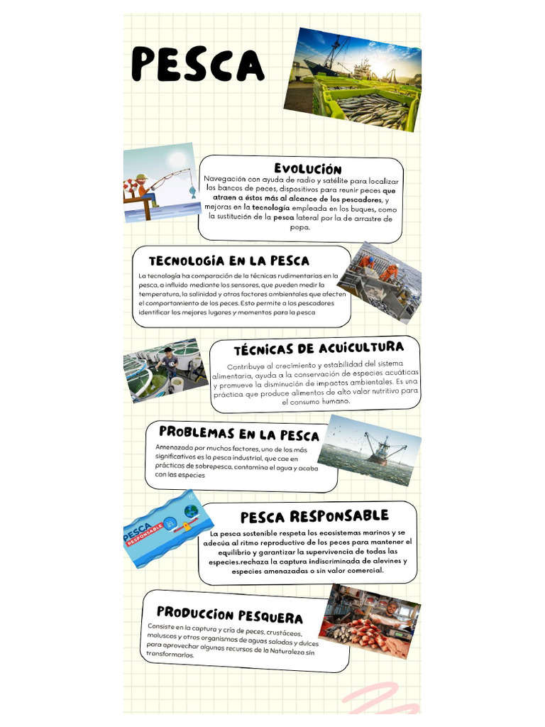 Infografia,, Pesca | PDF