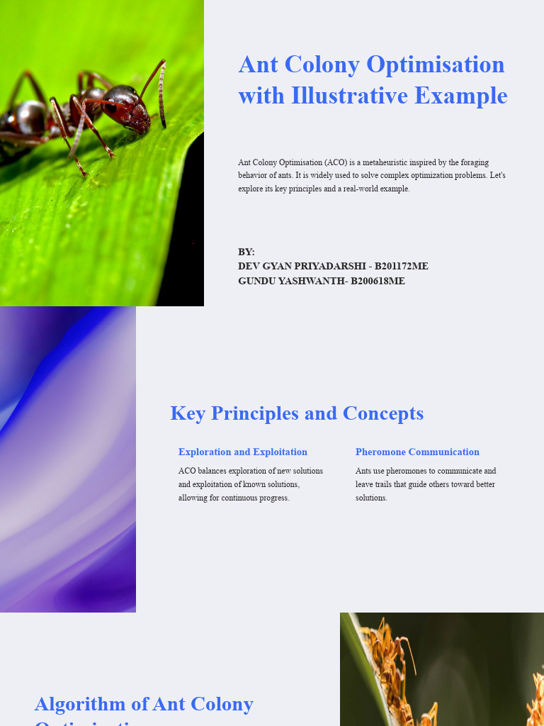 Ant Colony Optimisation | Download Free PDF | Algorithms | Applied ... Ant Colony Optimisation | Download Free PDF | Algorithms | Applied ...