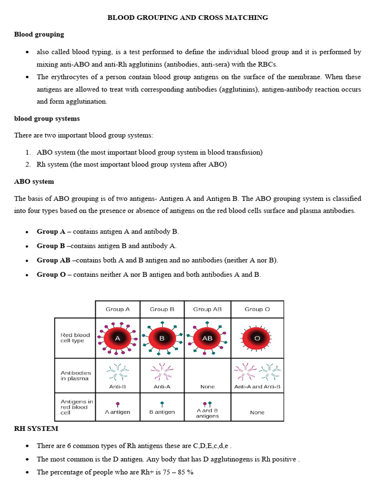 Blood Grouping and Cross Matching Guide | PDF | Blood Type | Animal Anatomy