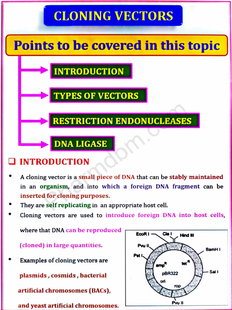 Biotechnology Unit 2 | PDF
