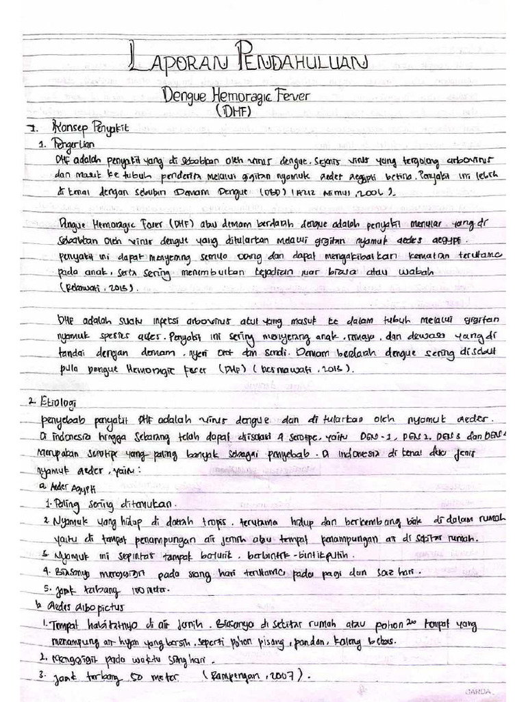 LP_kep Anak Dhf (Selmi) | PDF