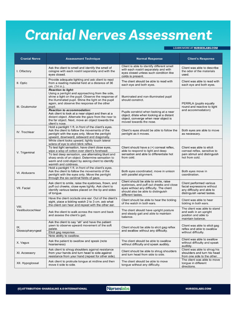 Cranial Nerves Assessment Cheat Sheet Nurseslabs | PDF
