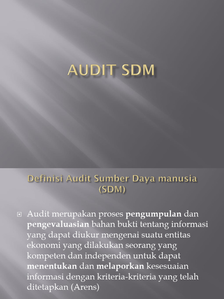 Pertemuan 12 - Audit SDM | PDF
