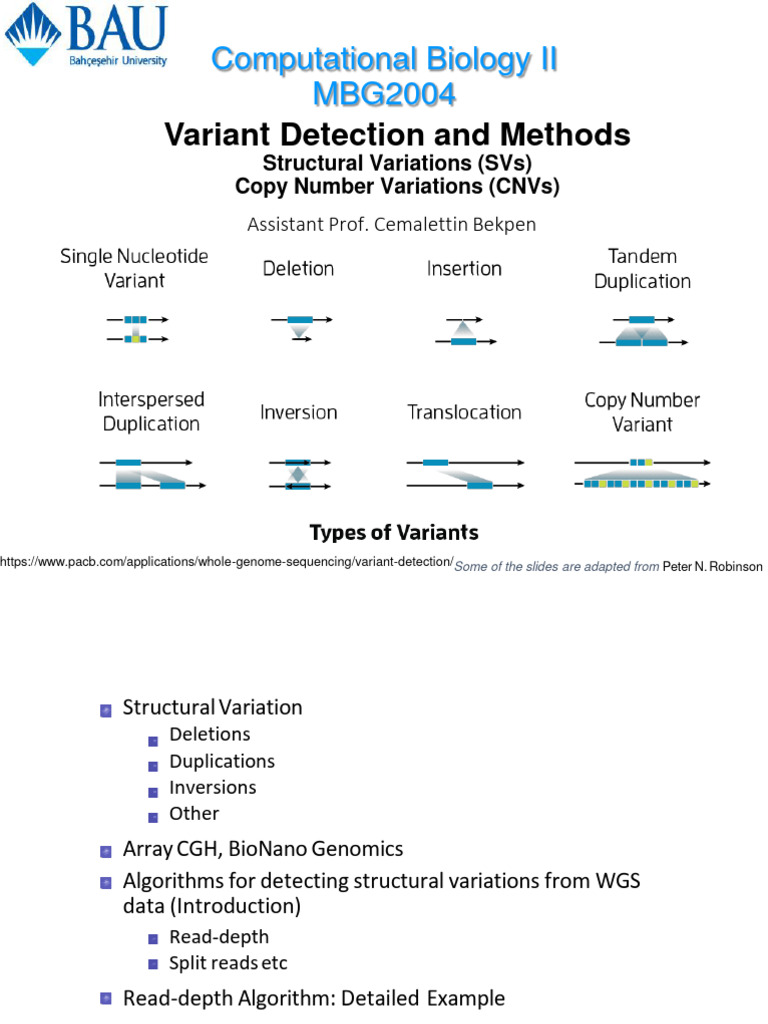MBG2004 Variant Detection and Methods (SV and CNV) Week VI | PDF | Dna Sequencing | Single ...