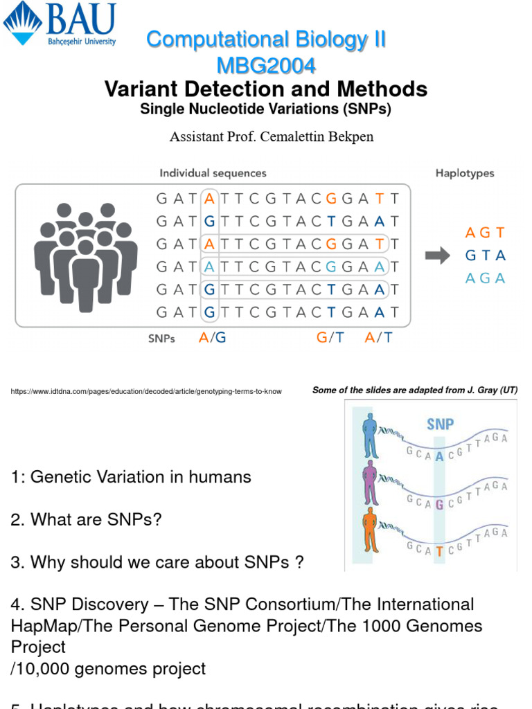 MBG2004 Variant Detection and Methods (SNPS) - Week - IV | PDF | Single Nucleotide Polymorphism ...