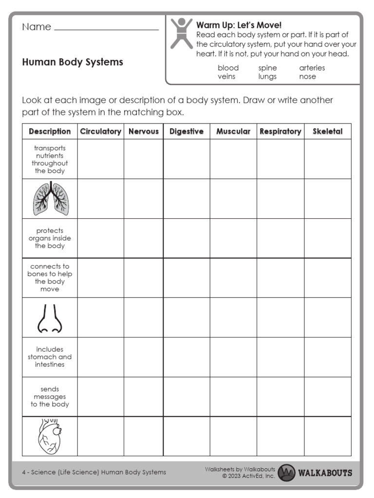 4 - Science (Life Science) Human Body Systems-1 | PDF | Human Body | Muscle