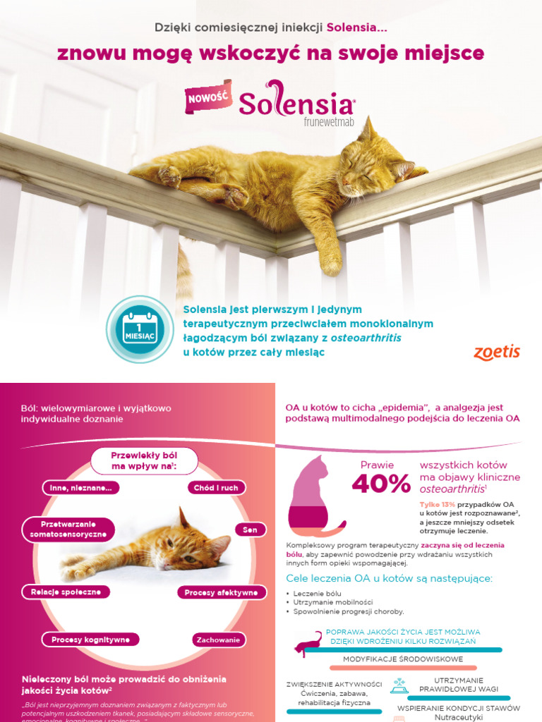 Detailer_Solensia | PDF