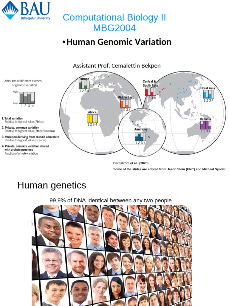 Human Genetic Variation Overview | PDF | Genome Wide Association Study ...