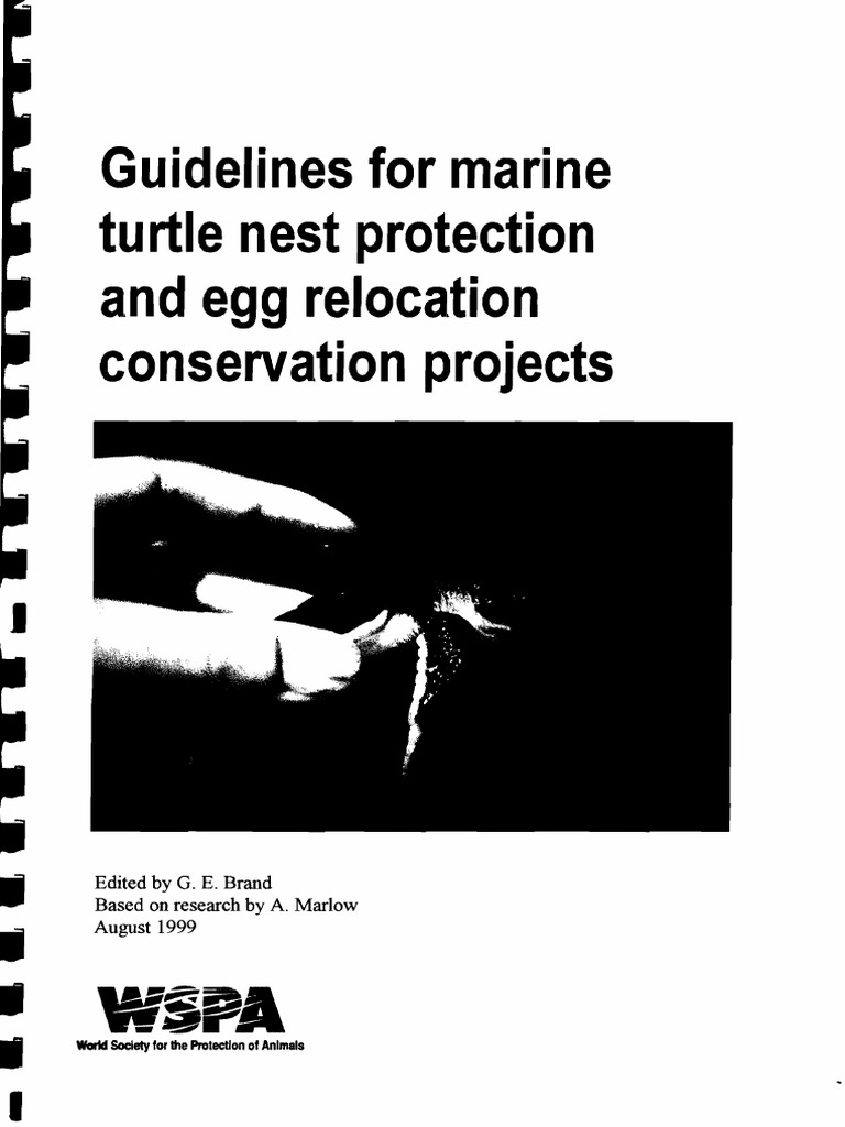 BrandGE_1999_Guidlinesformarineturtlenestprotect | PDF | Sea Turtle ...