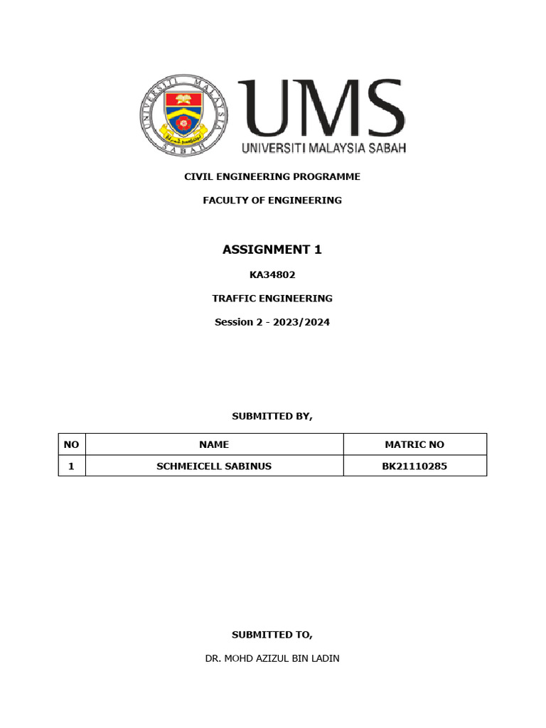 Sustainable Transport Strategy Assignment 1 - Schmeicell Sabinus Bk21110285 | Download Free PDF ...