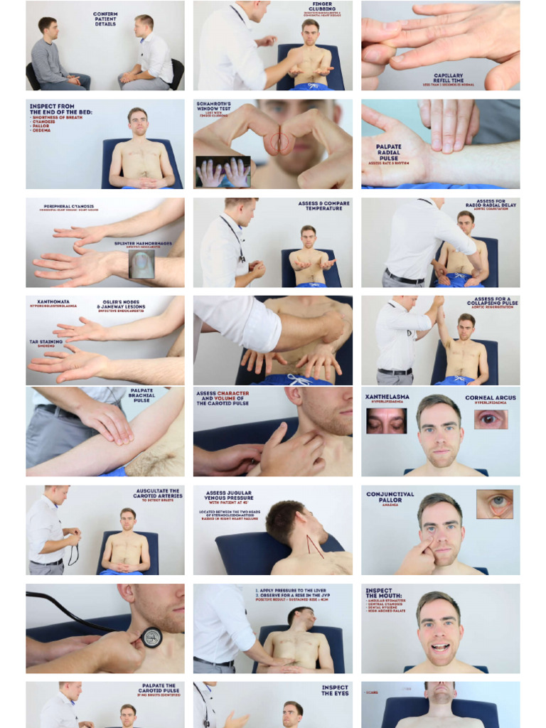 Cardiac Examination Print | PDF