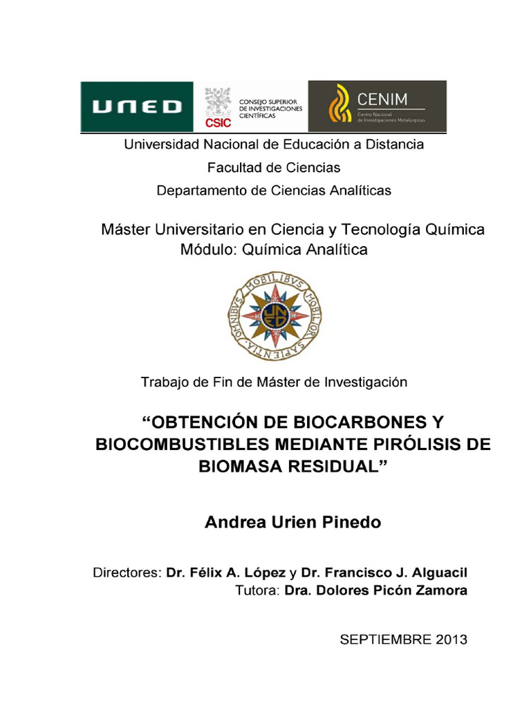 Biocarbones Cenim Csic | PDF