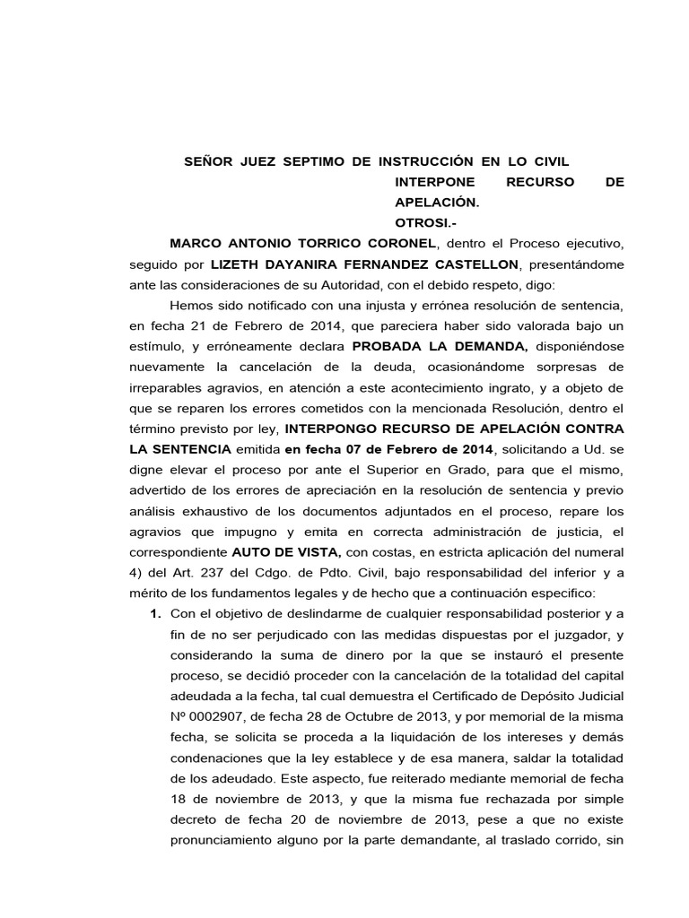 Apelación Sentencia Civil Injusta | PDF | Caso de ley | Sentencia (ley)