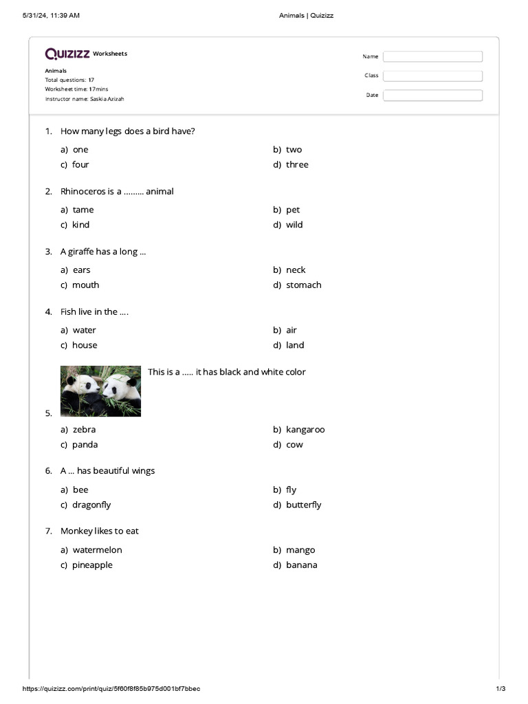 Animal Worksheets for Kids | PDF | Zoology | Animals And Humans