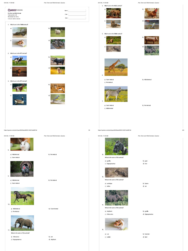 Pet, Farm, and Wild Animals Worksheet | PDF | Pet | Domesticated Animals