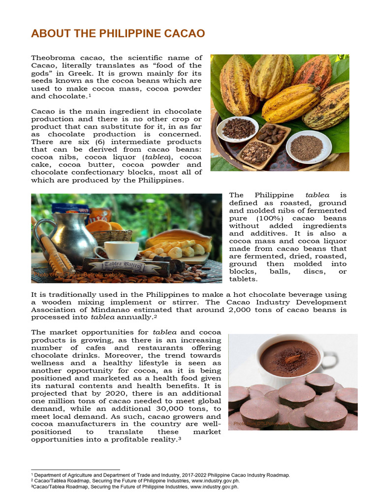 6 About the Philippine Cacao Rev2 | PDF | Cocoa Bean | Chocolate