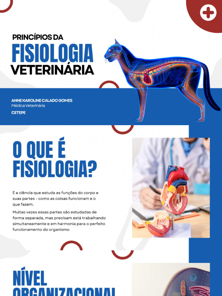 PRINCÍPIOS DA FISIOLOGIA-compactado | PDF