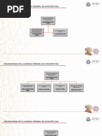 Organigrama Afac 2024 05062024 | PDF