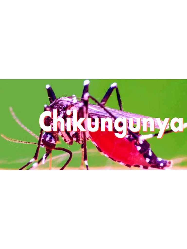 Chi Kun Gunya | PDF