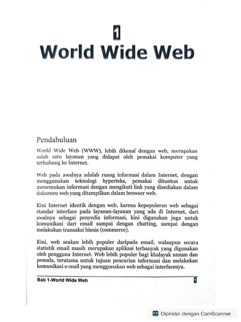 World Wide Web | PDF