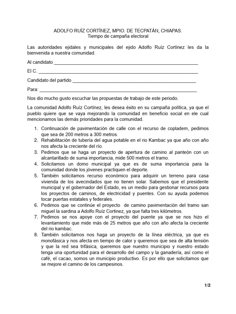 Adolfo Ruíz Cortínez | PDF