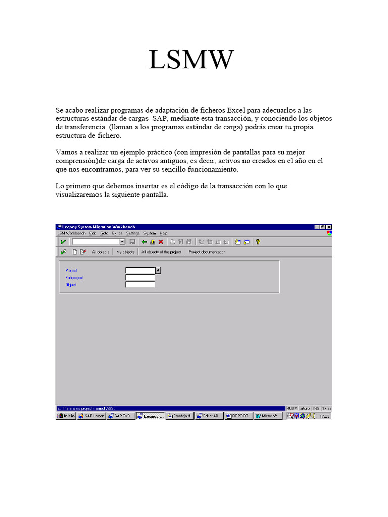 7C LSMW | PDF | Archivo de computadora | Informática