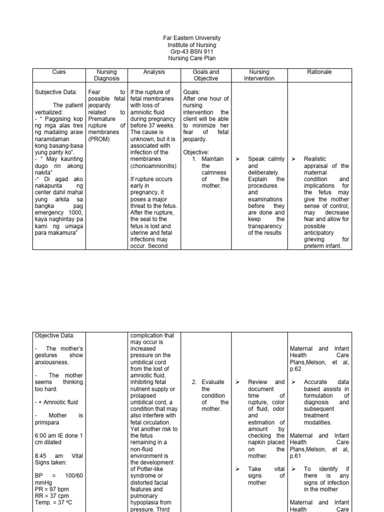 Nursing_Care_Plan | PDF | Fetus | Childbirth