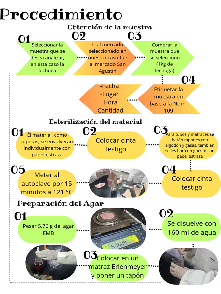 Proced I Mien To | PDF